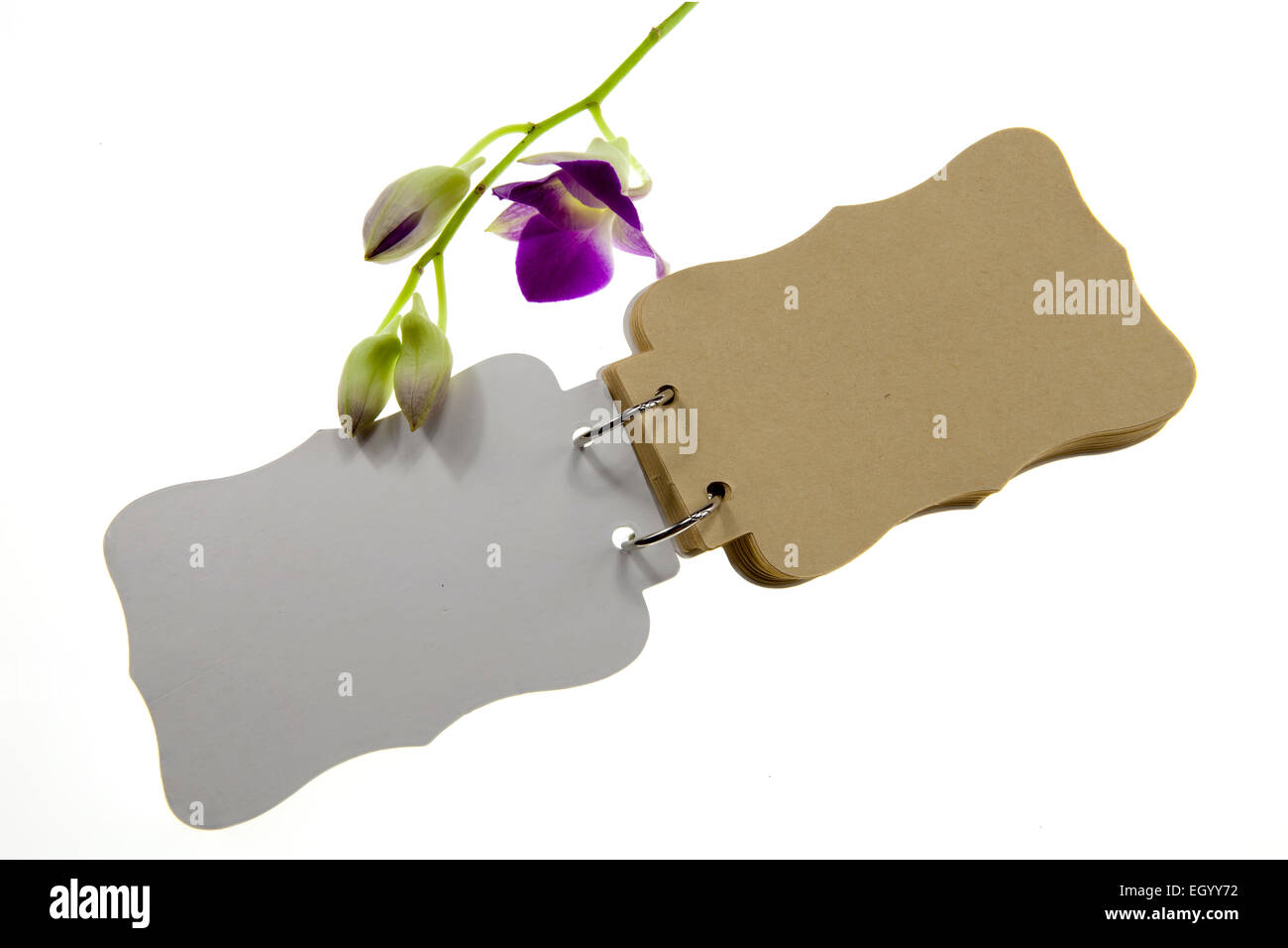 Note book and orchid on isolated white background Stock Photo - Alamy
