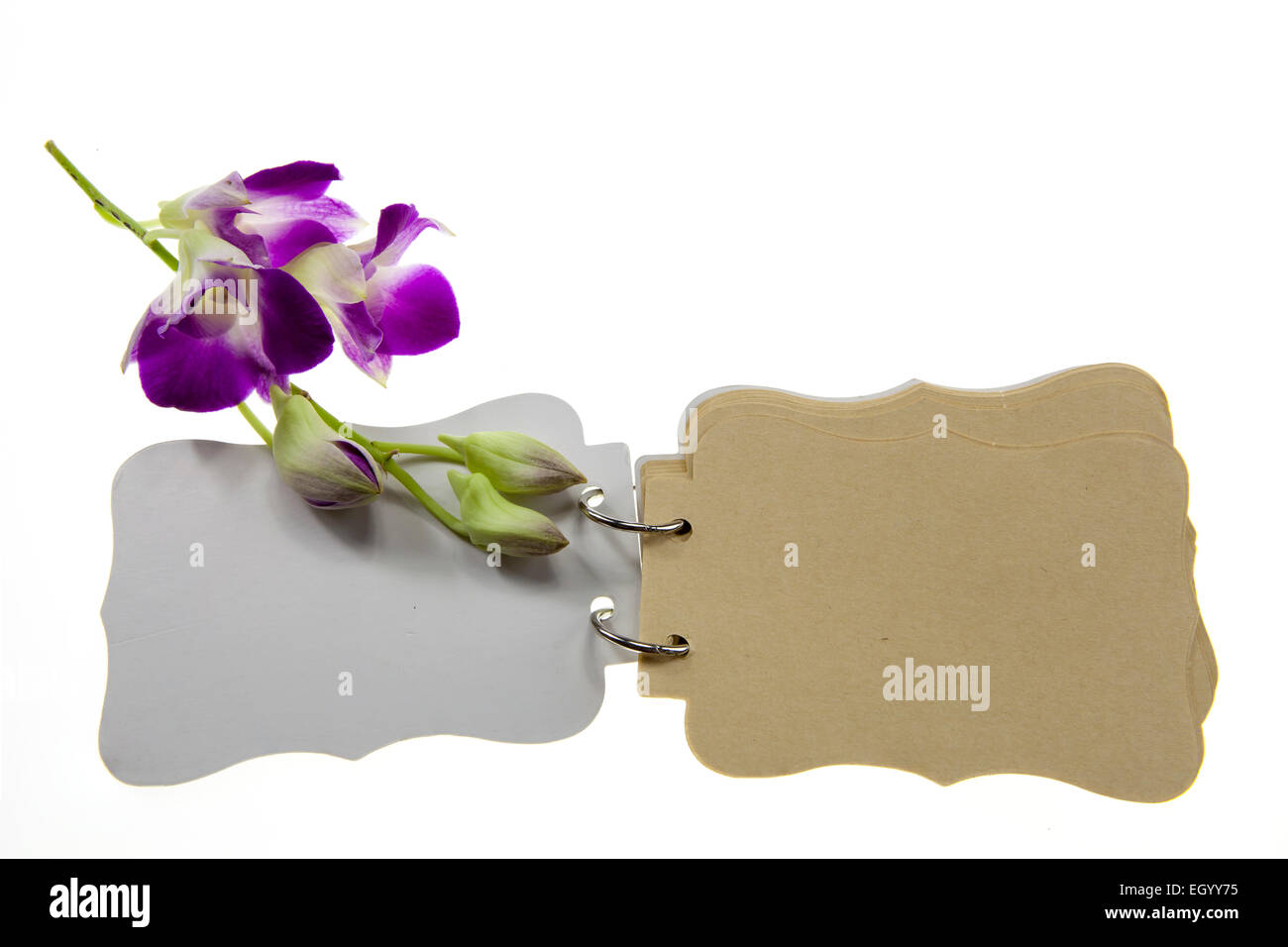 Note book and orchid on isolated white background Stock Photo - Alamy
