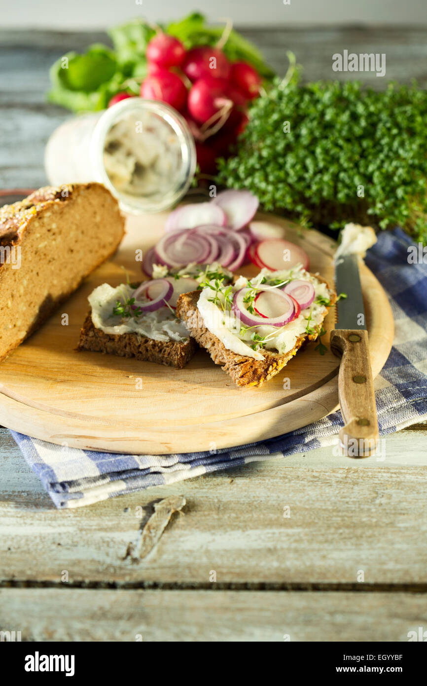Lard bread garnished with, red radish, onion rings and cress Stock ...