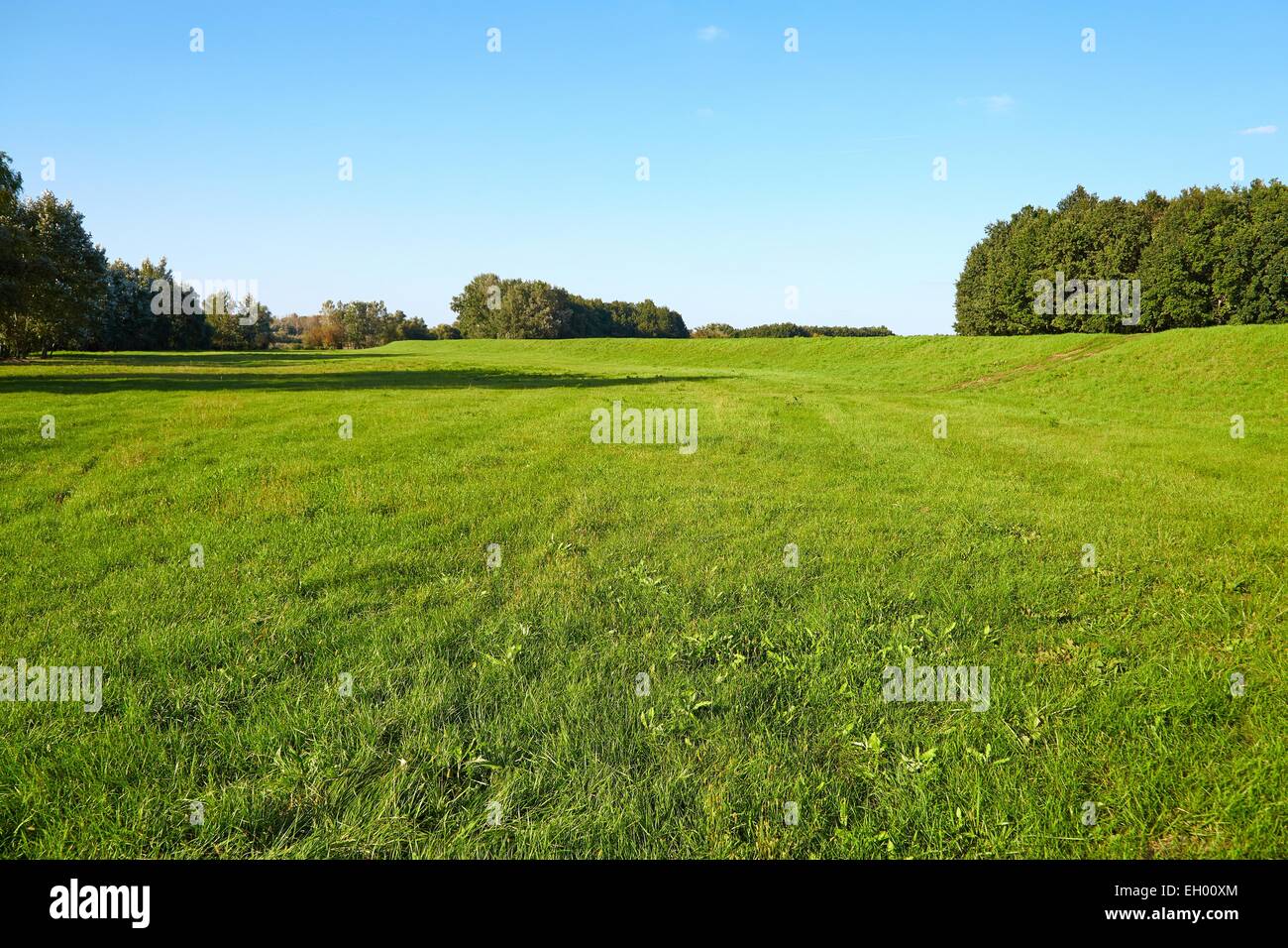 Overgrown grass field hi-res stock photography and images - Alamy