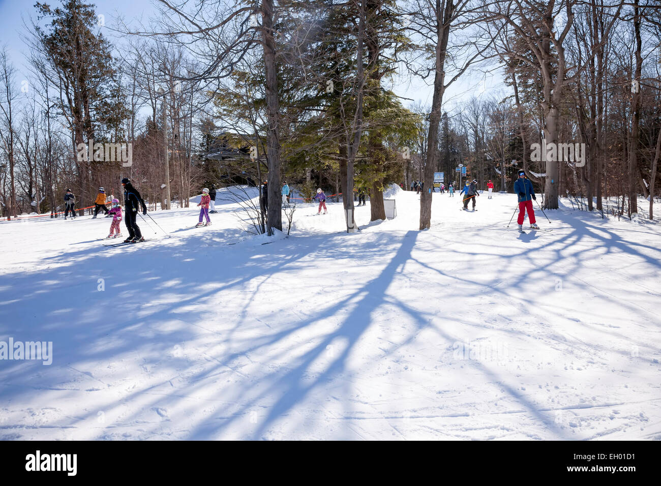 Alpine ski resort of blue mountains in collingwood hi-res stock ...