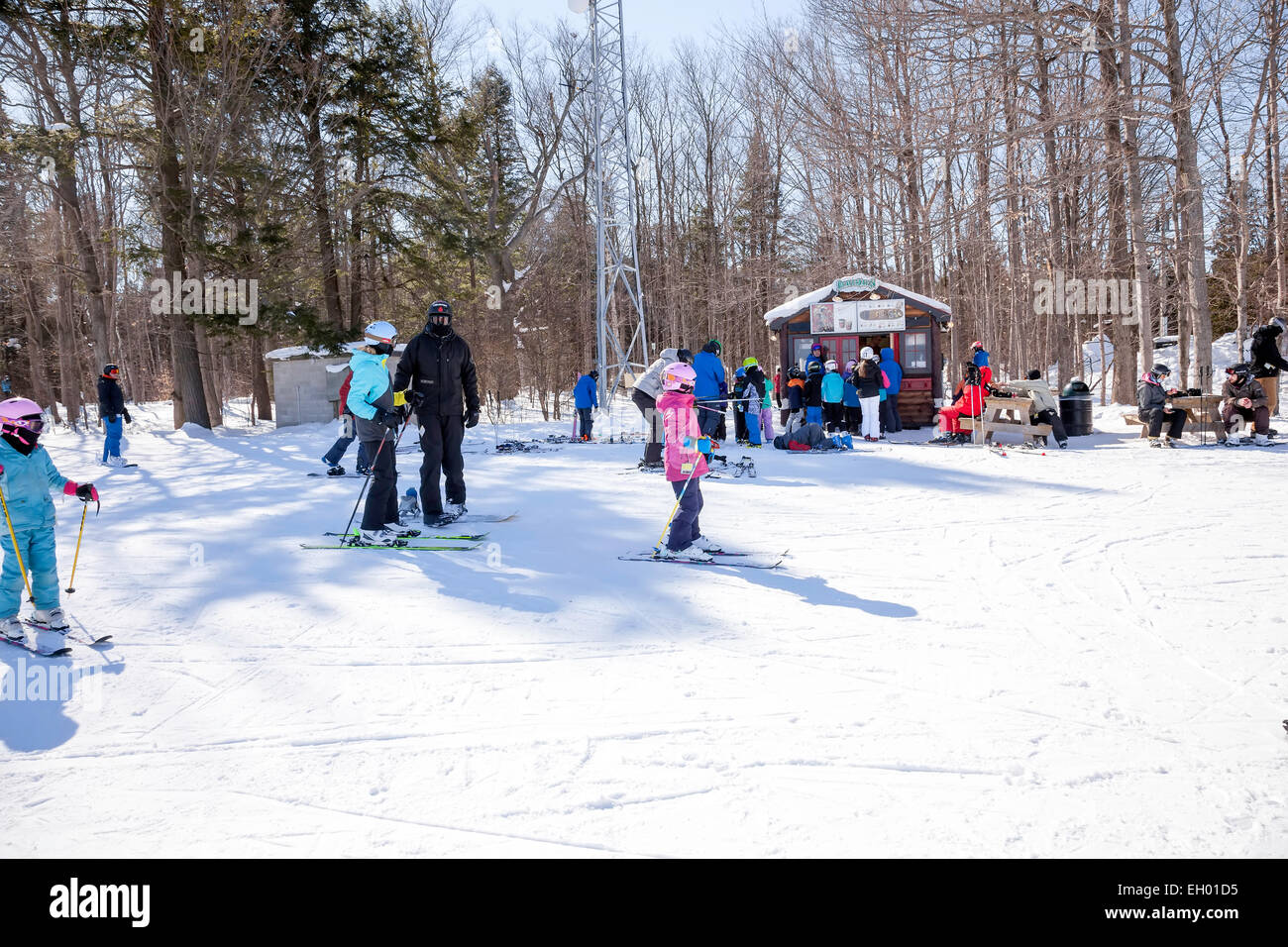 Alpine ski resort, Collingwood; "Big Blue" Ontario's Premier Ski Resort ...