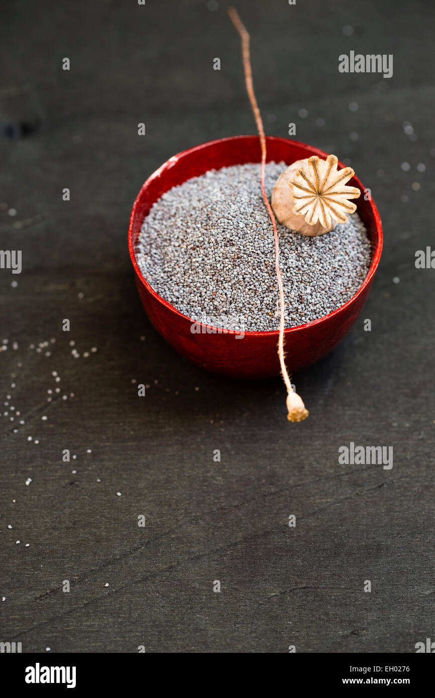 Bowl of poppy seeds and poppy seed capsule Stock Photo - Alamy