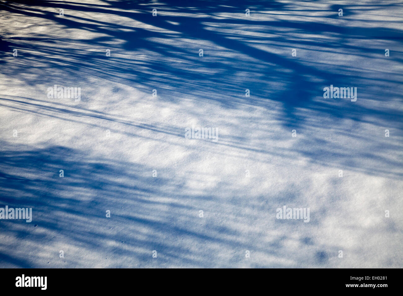 Shadows and sunlight in snow Stock Photo - Alamy