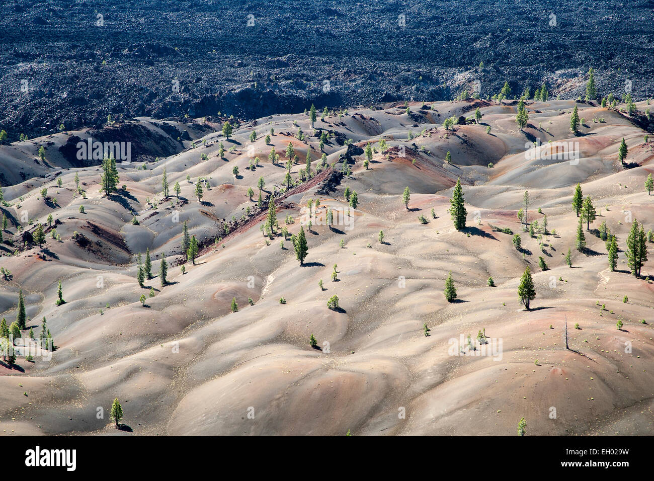 USA, California, Lassen Volcanic National Park, Cinder Cone Nature ...