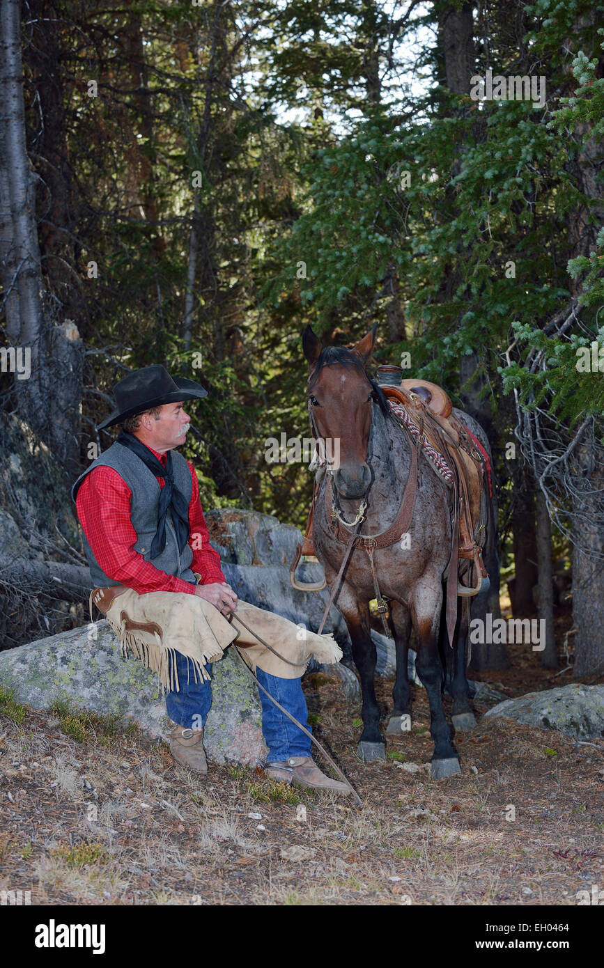 USA, Wyoming, cowboy and horse having a rest Stock Photo - Alamy