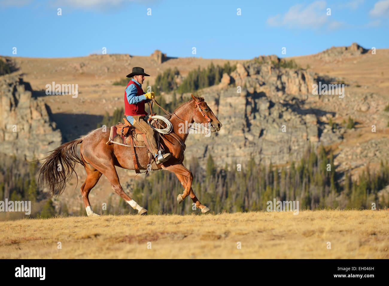 Riding cowboy hi-res stock photography and images - Alamy