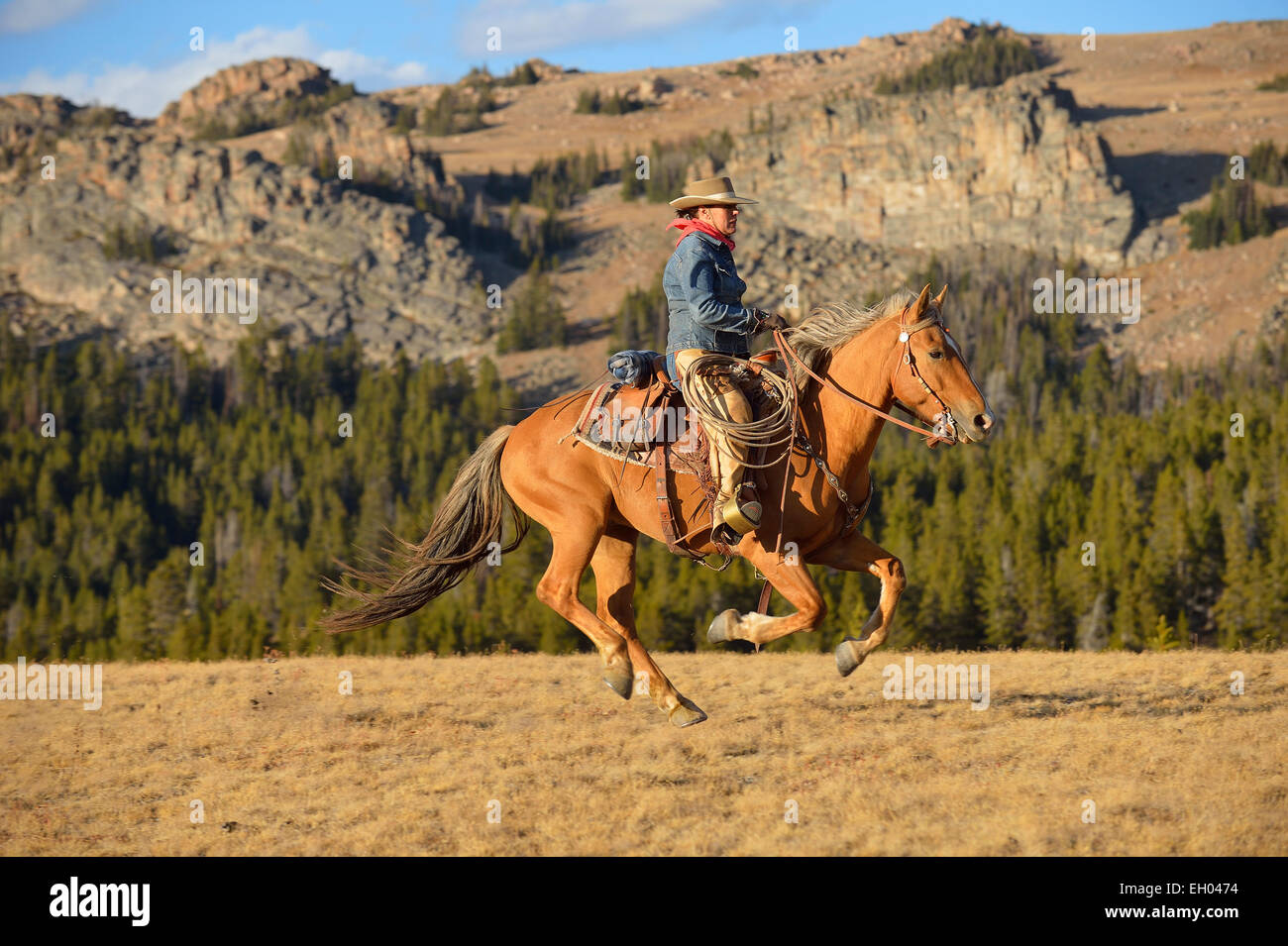 Woman cowgirl mature hi-res stock photography and images - Alamy