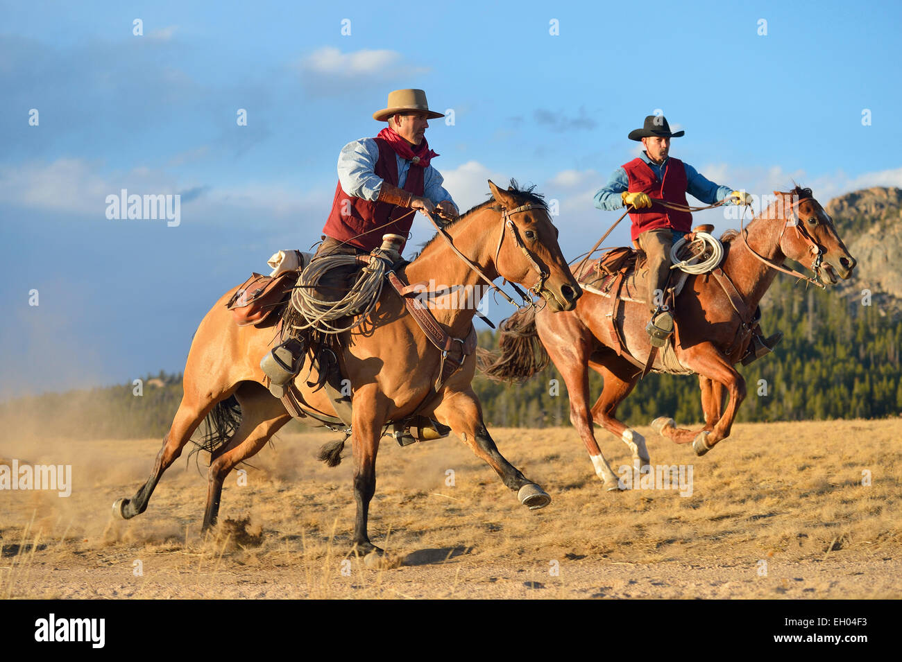Two riding cowboys hi-res stock photography and images - Alamy
