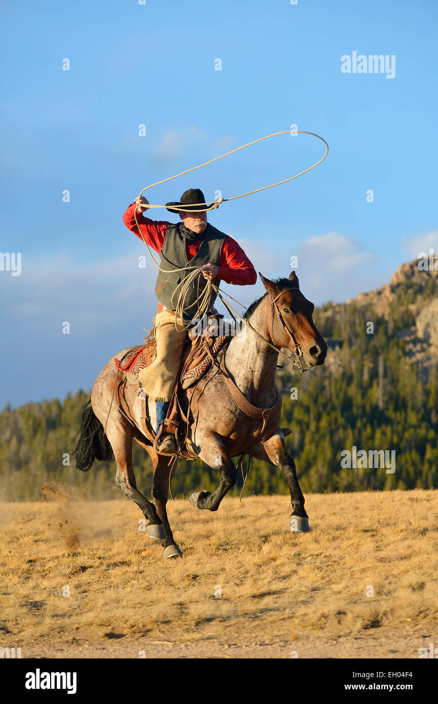 Cowboy With Lasso Hi res Stock Photography And Images Alamy