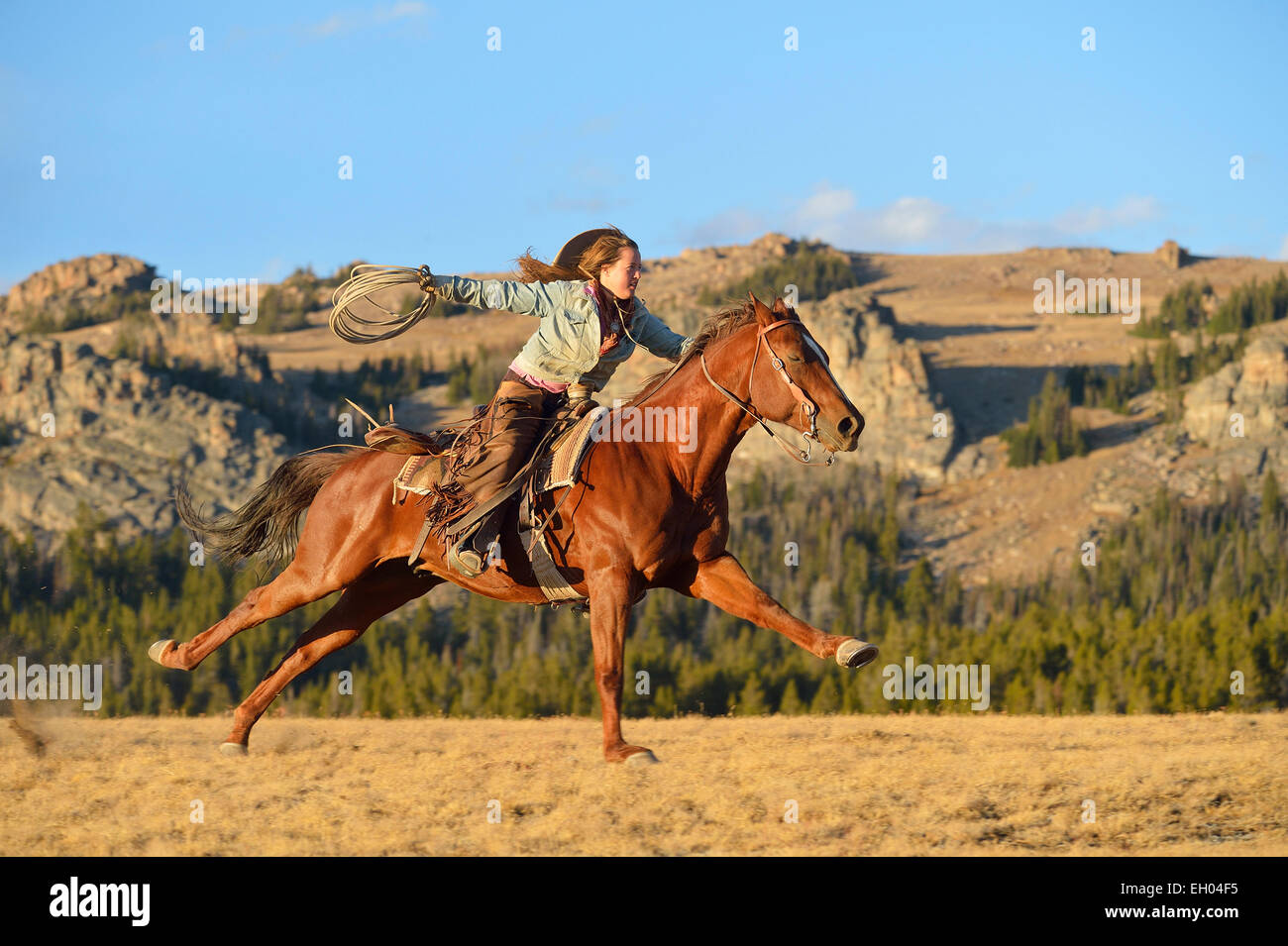 Cowgirl riding fast hi-res stock photography and images - Alamy