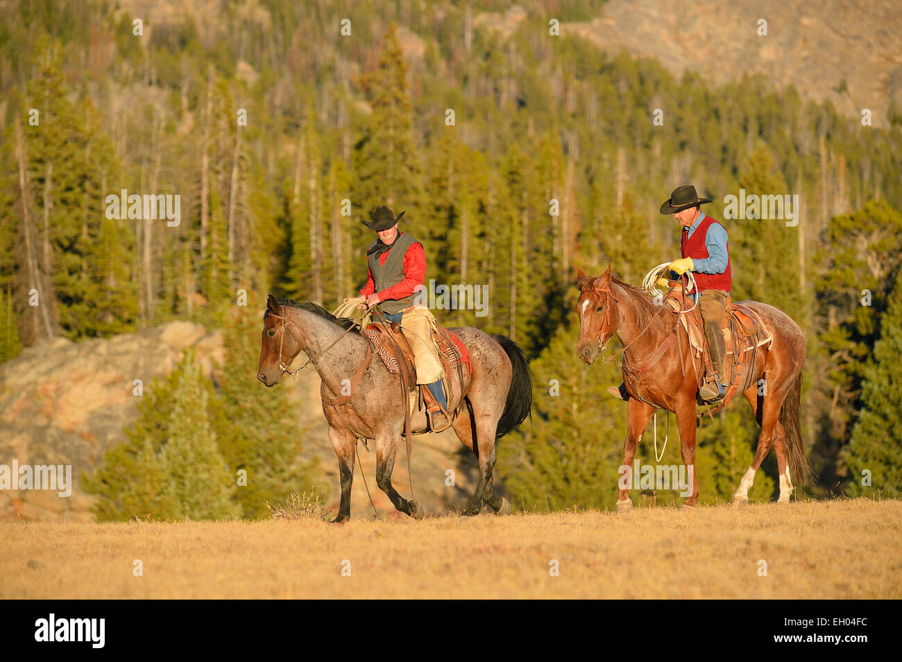 USA, Wyoming, two riding cowboys Stock Photo - Alamy