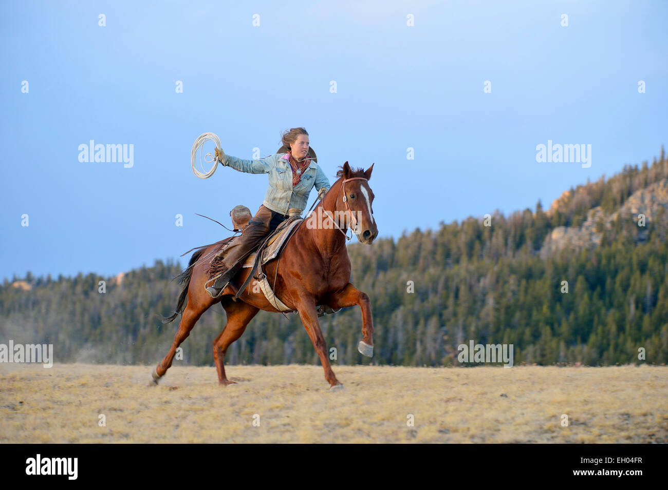 Cowgirl horse lasso hi-res stock photography and images - Alamy