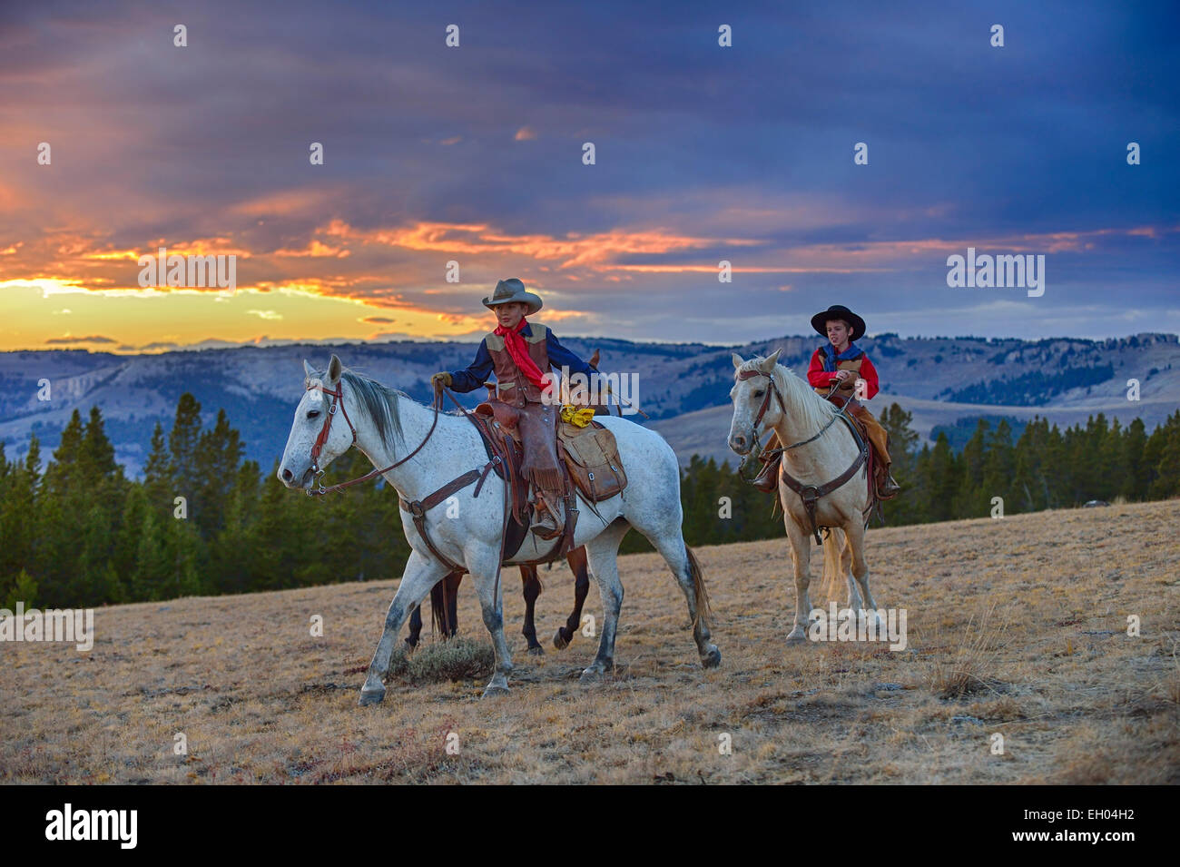 Young cowboy riding at evening light hi-res stock photography and ...