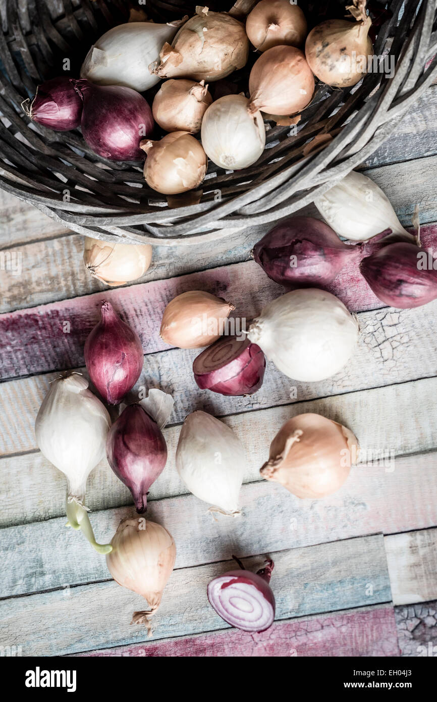 Different little onions Stock Photo - Alamy
