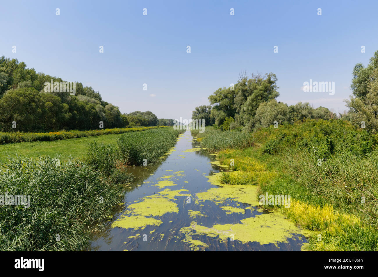 Andau hi-res stock photography and images - Alamy