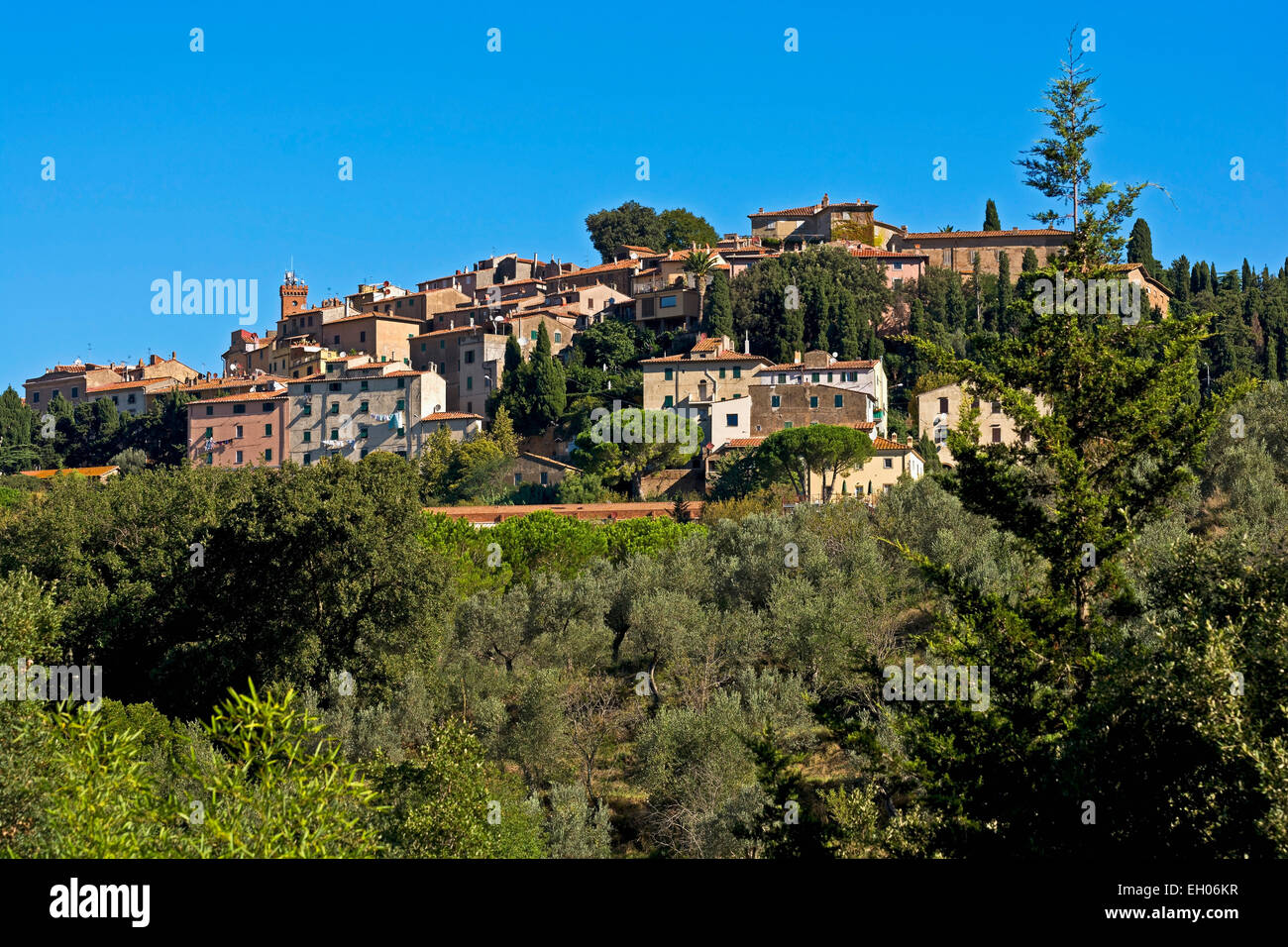 Italy, Tuscany, Castagneto Carducci, View to village Stock Photo - Alamy