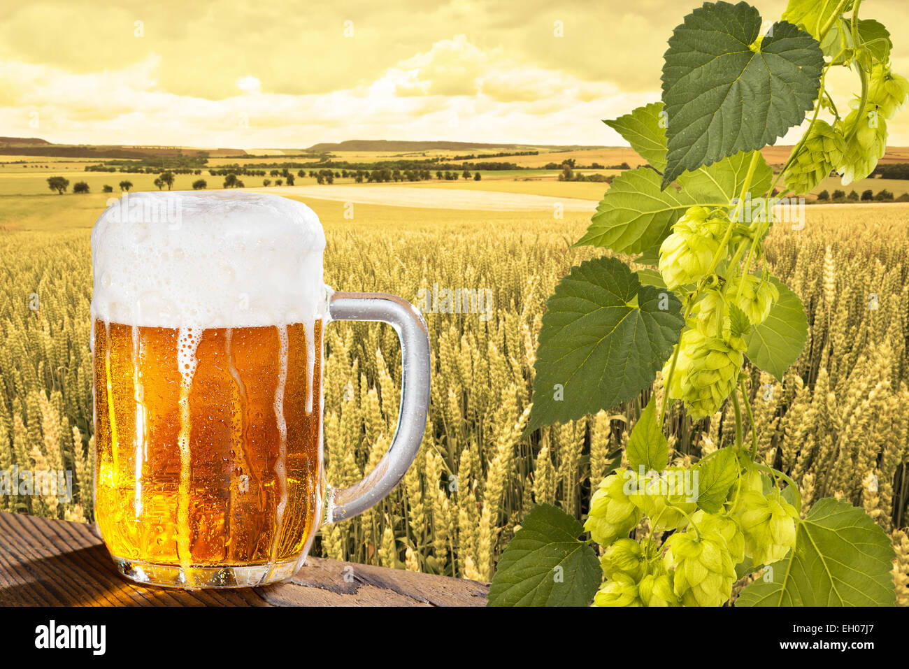 a glass of beer with hop cones Stock Photo - Alamy