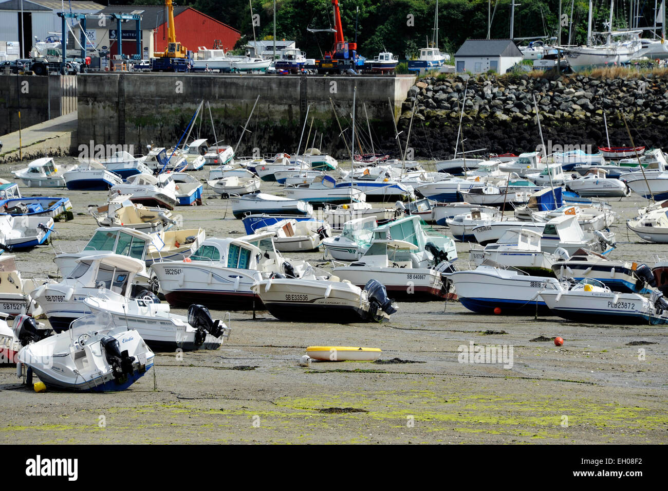 The dry harbour of Saint-Quay-Portrieux,low tide,Cotes-d'Armor,Bretagne ...