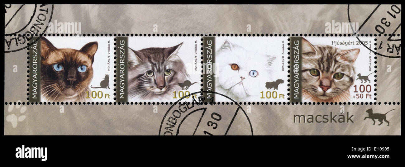 Hungary stamp animal pet hi-res stock photography and images - Alamy