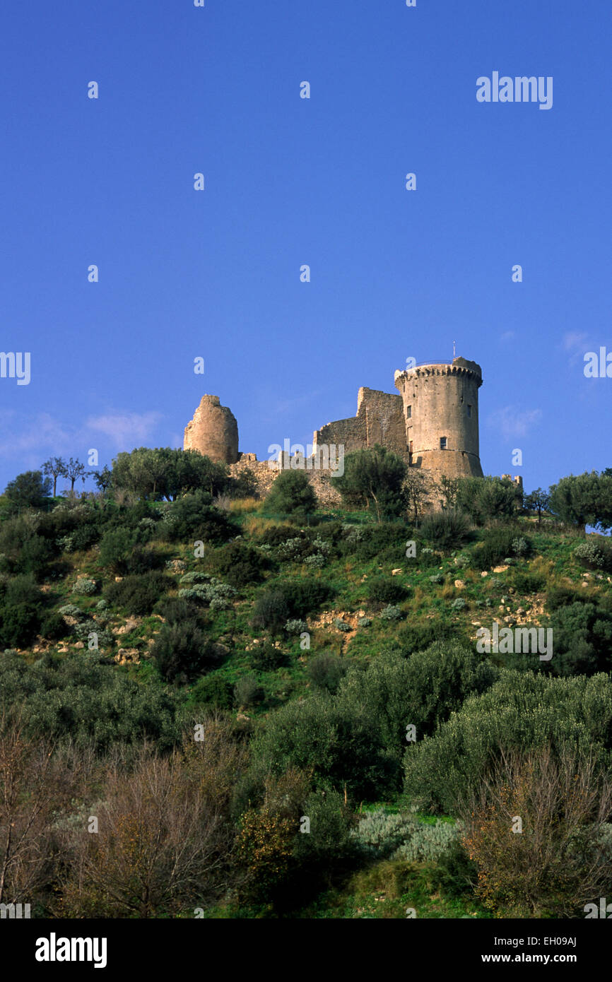 Angevin hi-res stock photography and images - Alamy