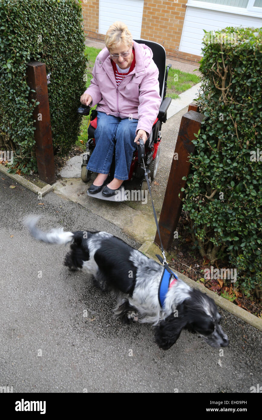 Wheelchair model hi-res stock photography and images - Alamy