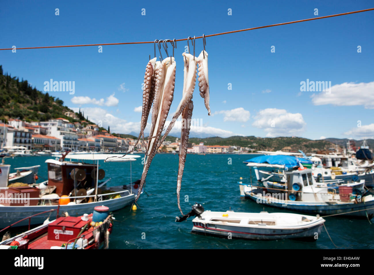 Greece, Gythio, squid hanging to dry in harbor Stock Photo - Alamy