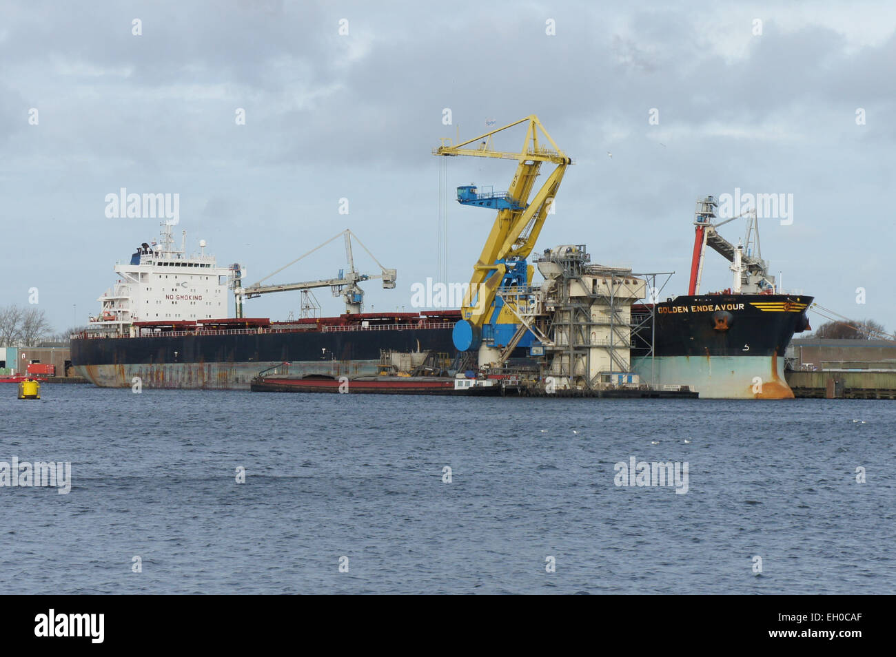 Golden endeavour hi-res stock photography and images - Alamy