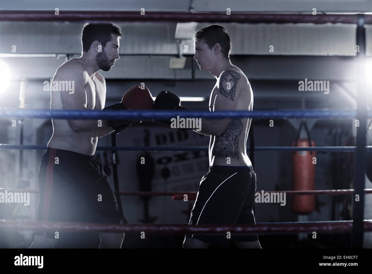Two boxers starting a fight Stock Photo - Alamy