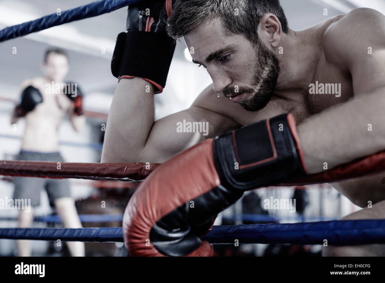 Boxer resting at the side of boxing ring Stock Photo - Alamy