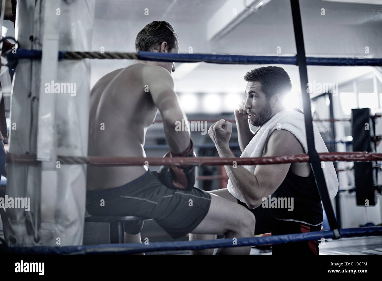 Boxer having a break with trainer in the corner of the boxing ring ...