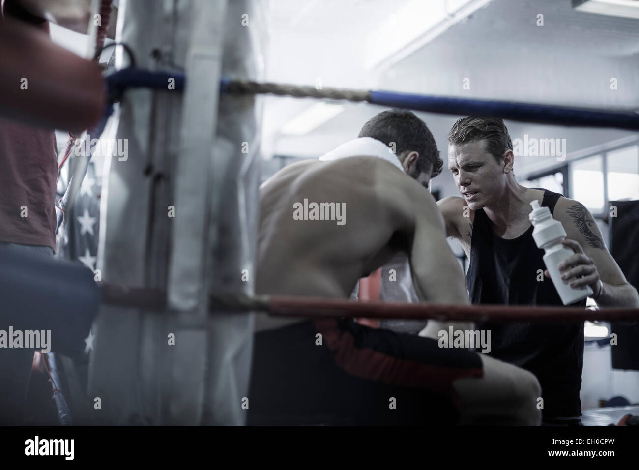 Boxer having a break with trainer in the corner of the boxing ring ...
