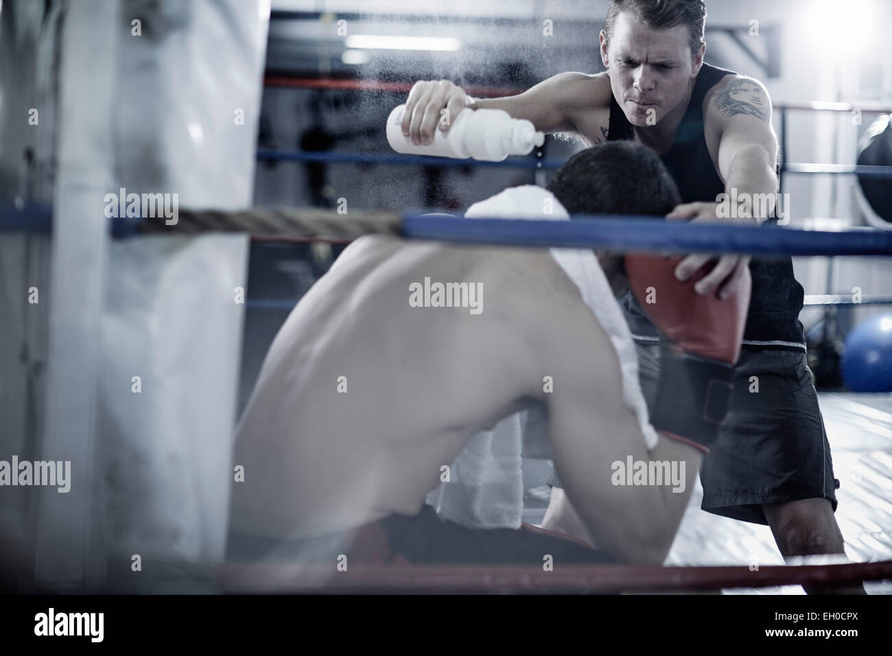 Boxer having a break with trainer in the corner of the boxing ring ...