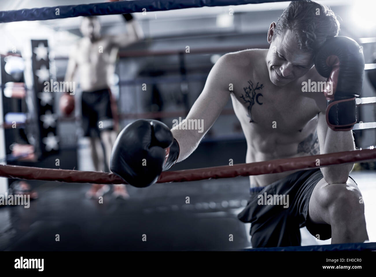 Boxer resting at the side of boxing ring Stock Photo - Alamy