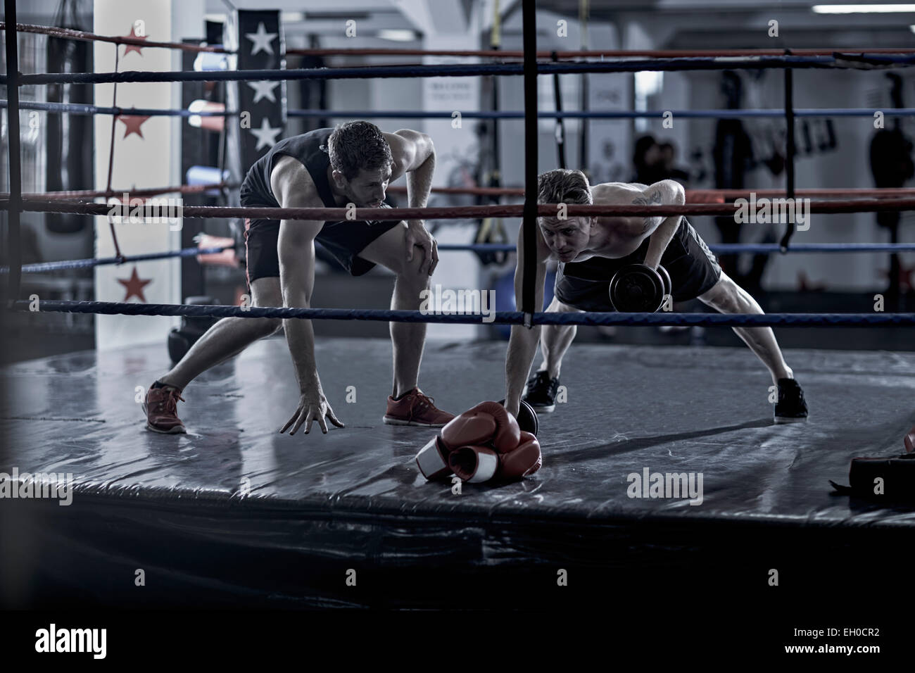 Coach with boxer doing training in boxing ring Stock Photo - Alamy
