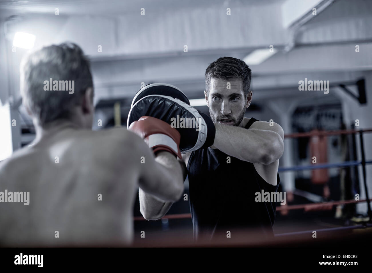 Coach with boxer doing training in boxing ring Stock Photo - Alamy