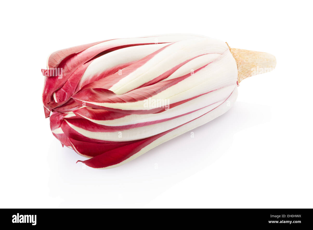 Chicory hi-res stock photography and images - Alamy