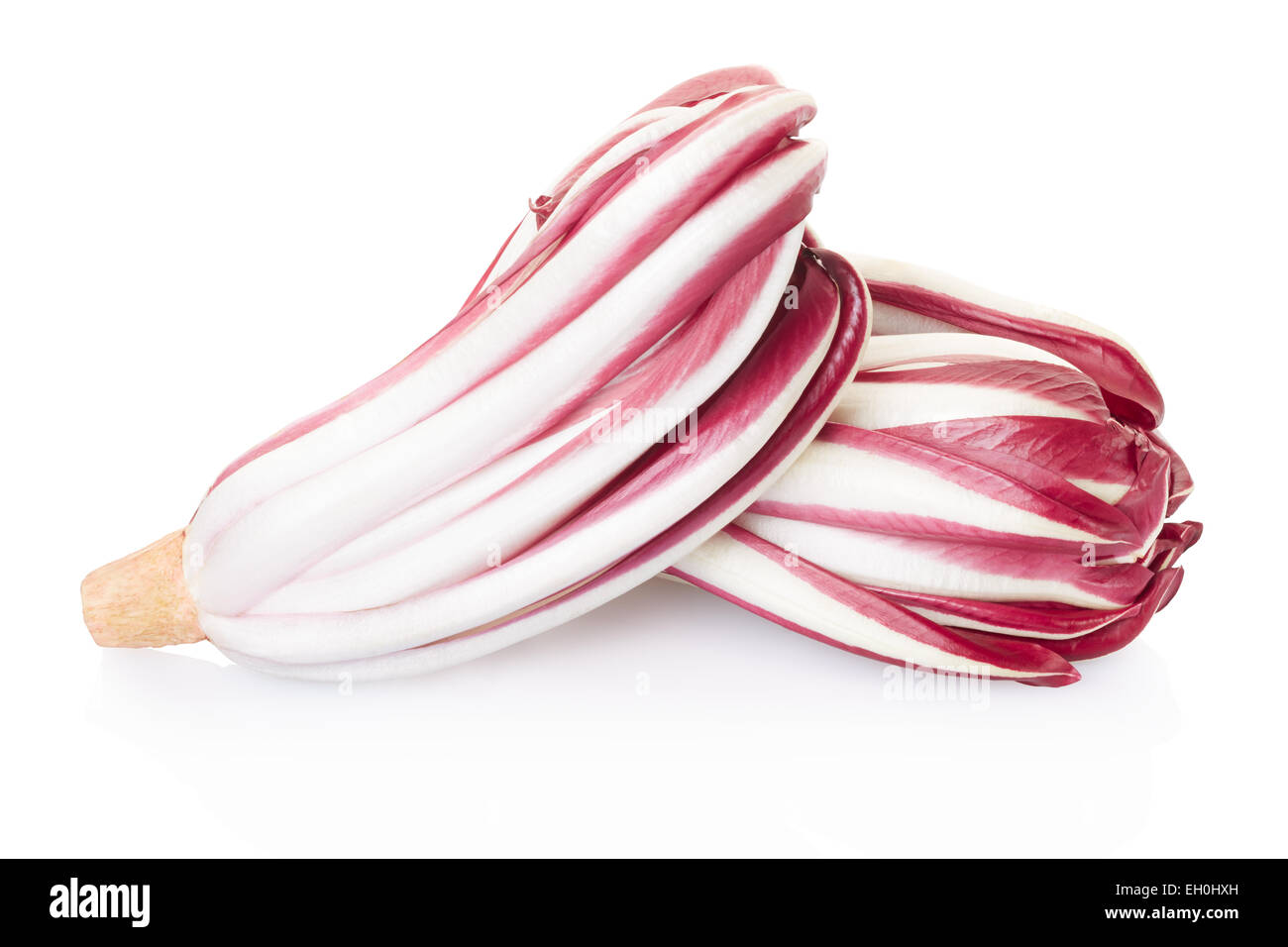 Radicchio, red Treviso salad Stock Photo - Alamy