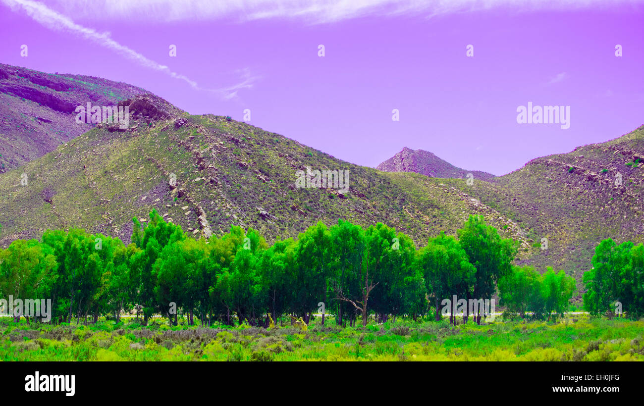 Purple Safari Sky Stock Photo - Alamy