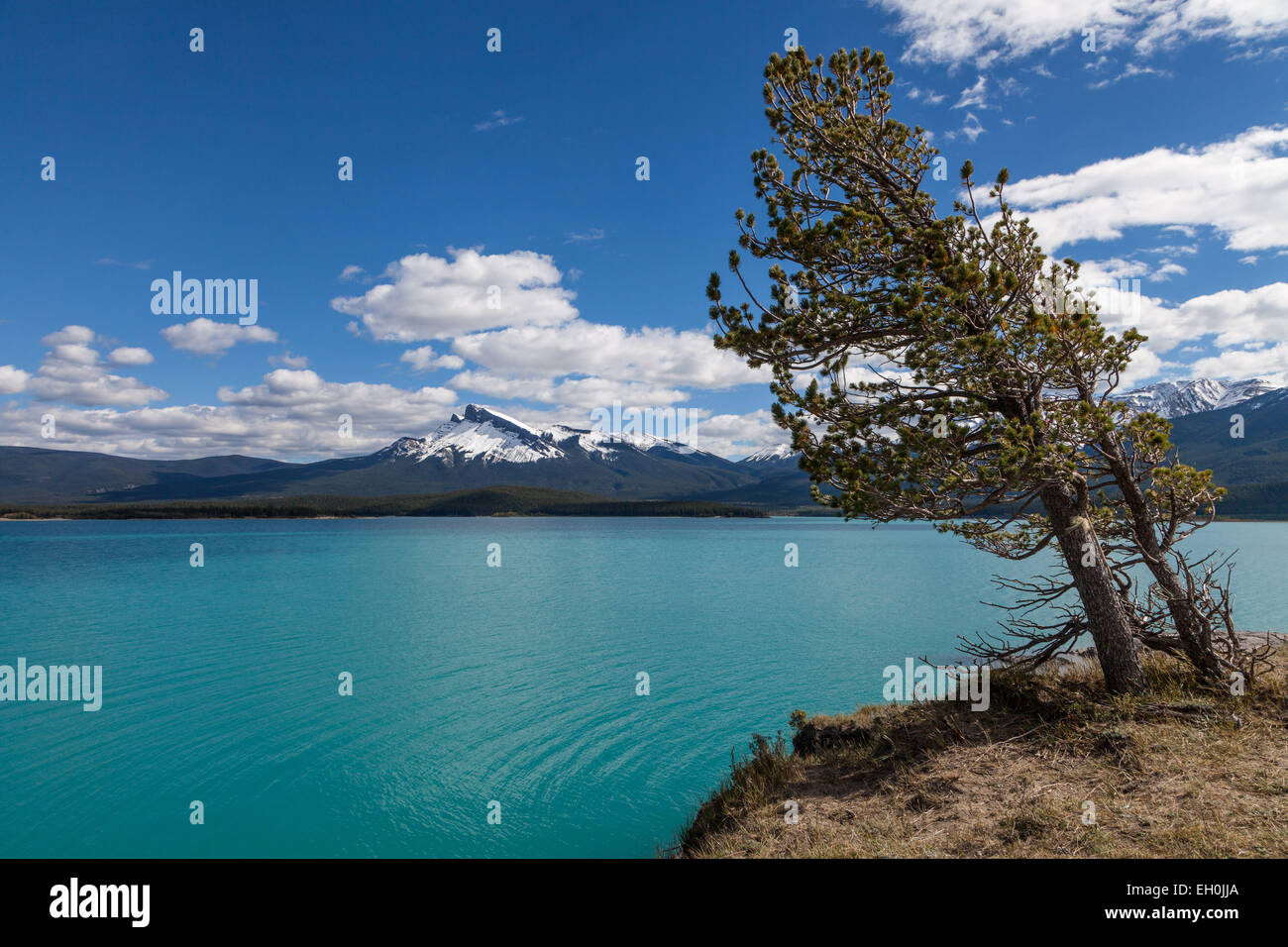 Abraham Lake, and Krista Peak, near the David Thompson Highway #11 in ...
