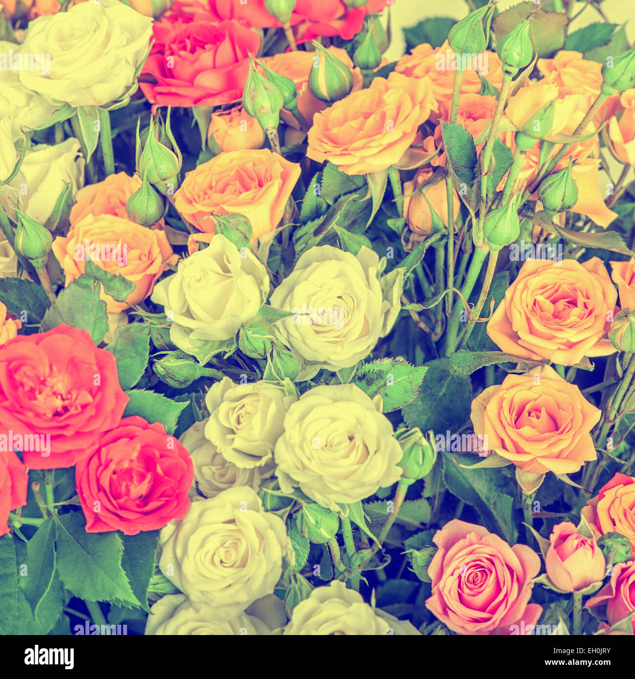 Big bunch of beautiful pastel flowers. A lot of multicolored roses ...