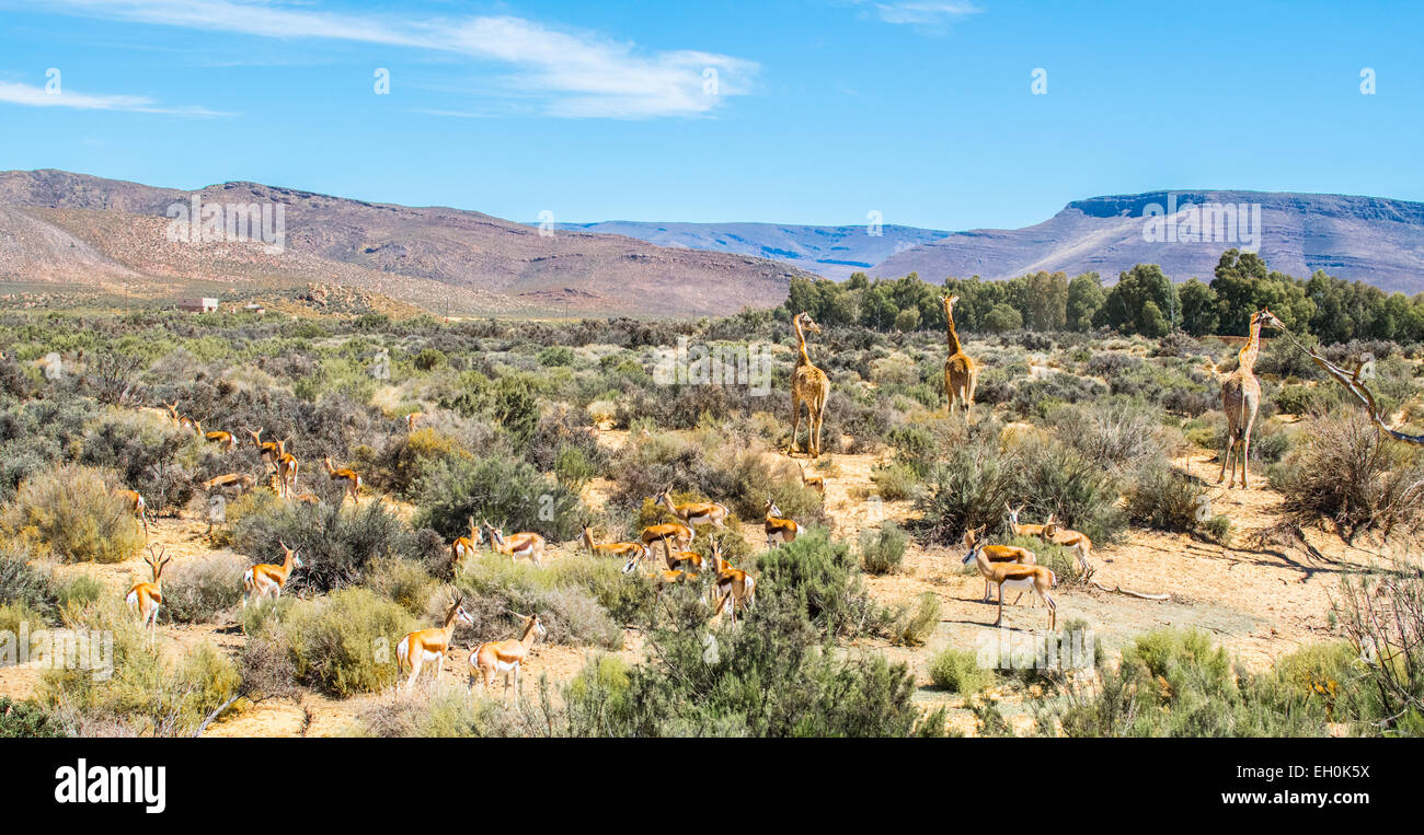 Keep Lookout High Resolution Stock Photography and Images - Alamy