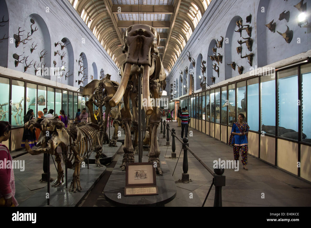 Inside Indian Museum