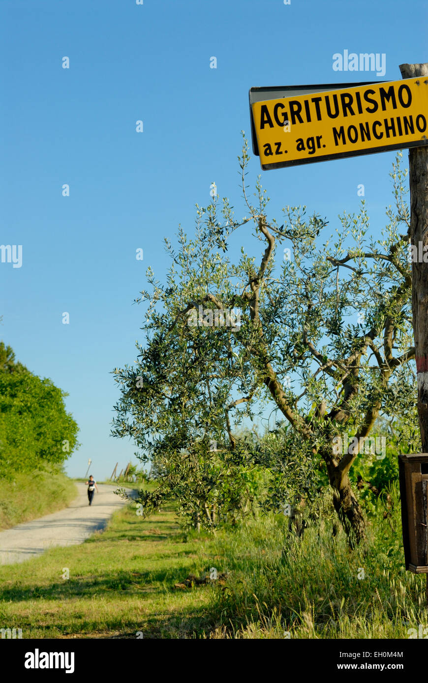 Country road passing through farmland with Agritourism sign, near San ...