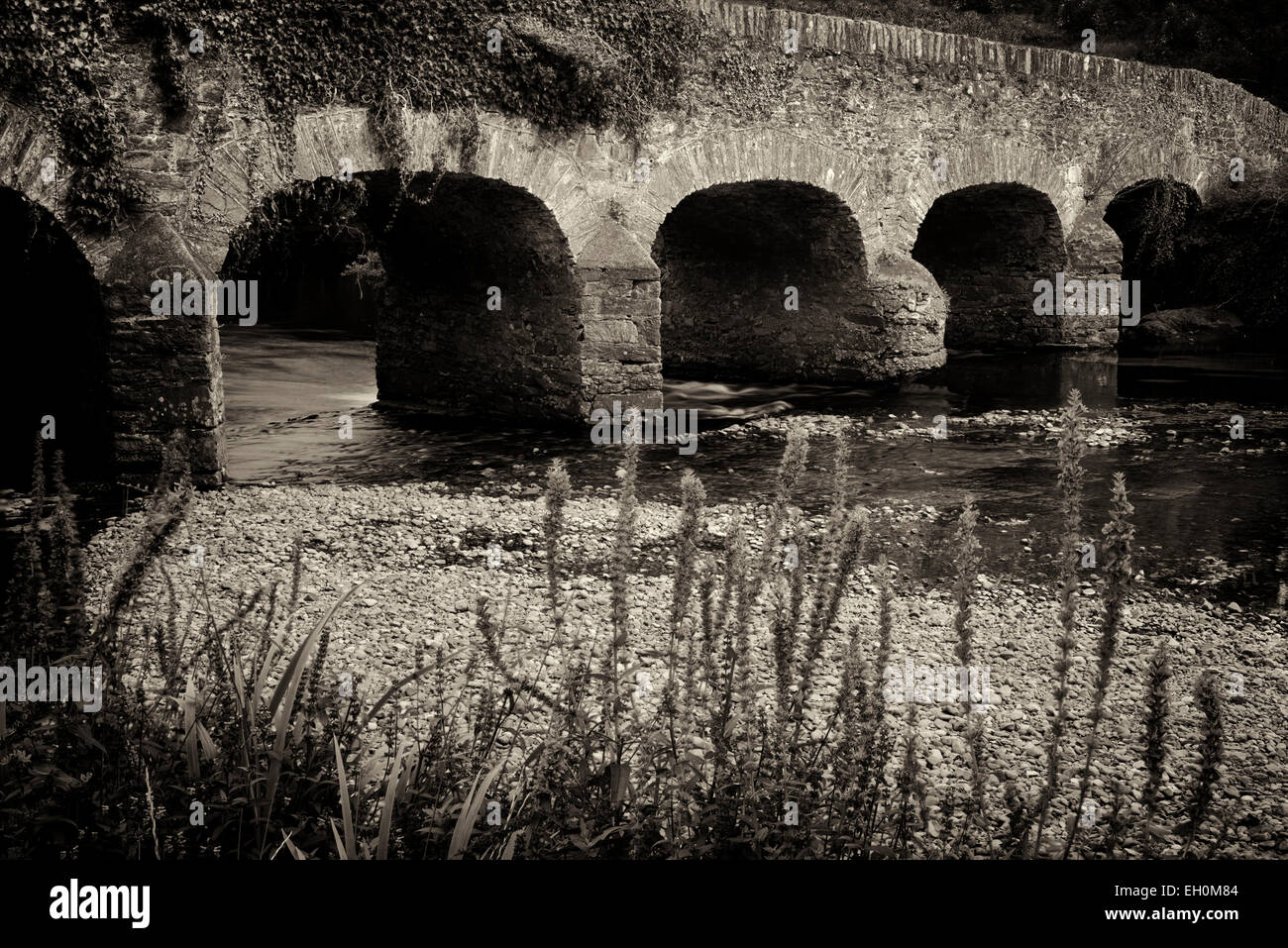 Bridge over Gearhmeen River with wildflowers, Killarney National Park ...