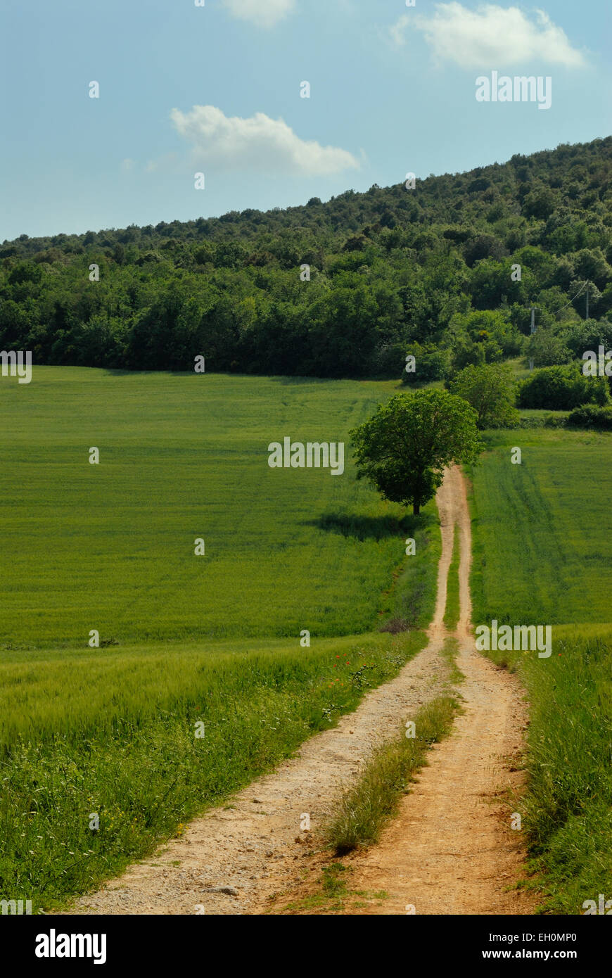 Gravel road through fields hi-res stock photography and images - Alamy