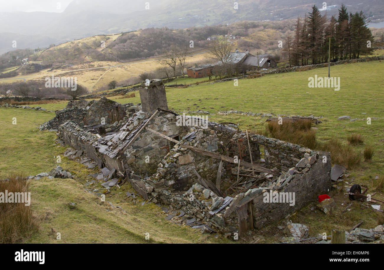 Derelict tyddyn at Dinorwig (Dinorwic), Snowdonia, Wales Stock Photo ...