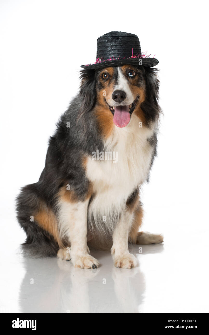 Australian hat isolated hi-res stock photography and images - Alamy
