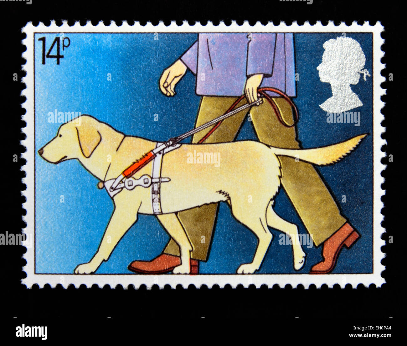 Guide Dog Postage Stamp High Resolution Stock Photography and Images ...