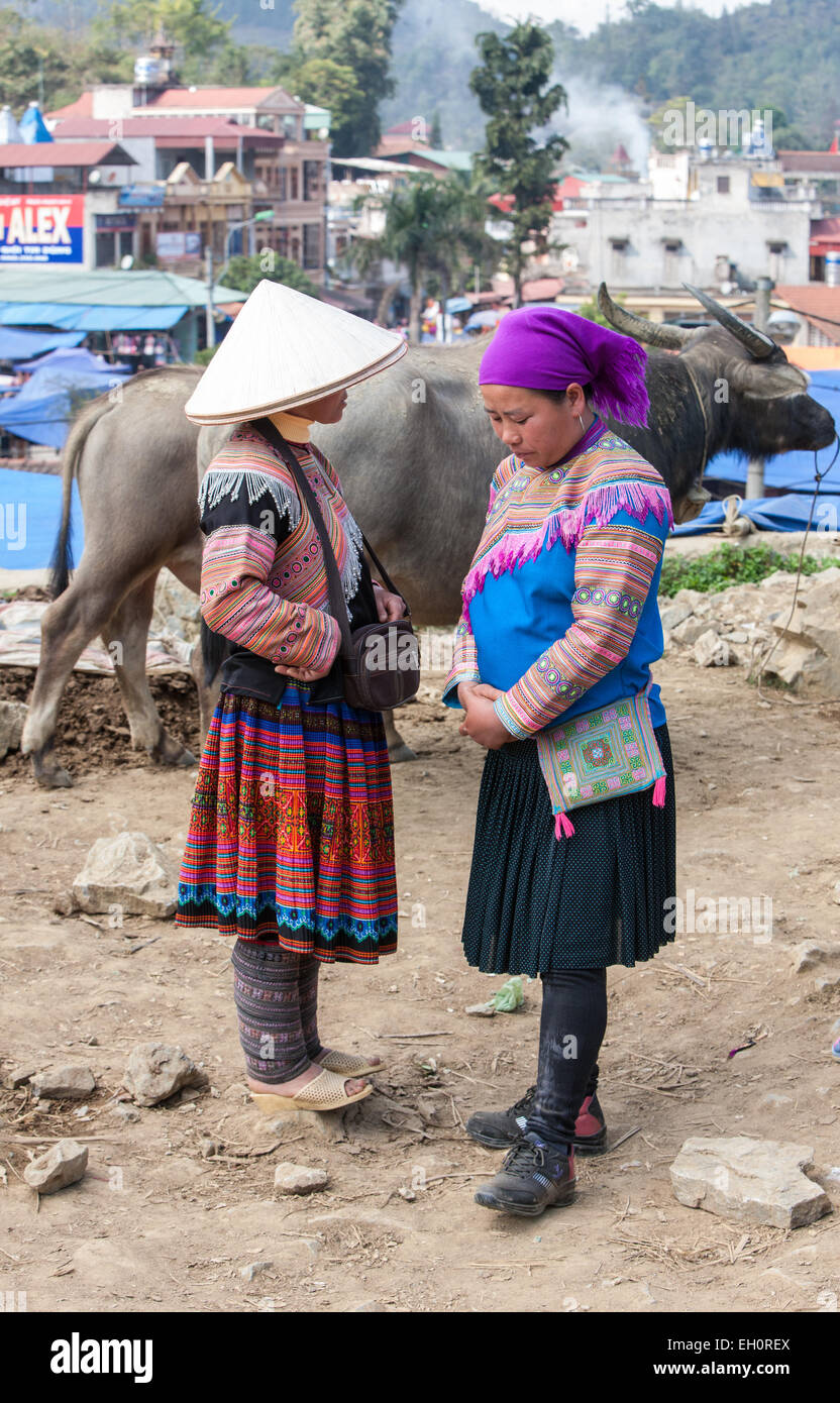 Bac Ha Sunday Market famed for buffalo selling near Lao Cai, and Sa Pa ...